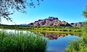 Salt River (Upper and Lower) Kayaking | The Arizona Bucket List