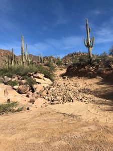 Table Mesa ATVing | The Arizona Bucket List